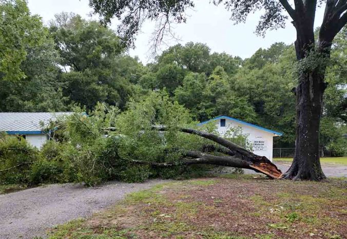 Storm blows down tree limbs in Holt | Holt Enterprise News