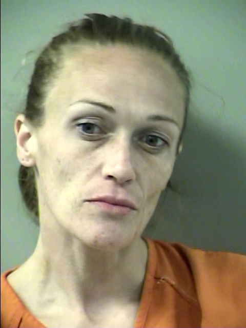 Traffic stop uncovers mobile meth lab | Holt Enterprise News