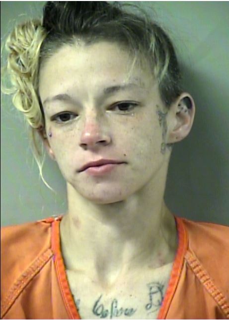 Traffic stop uncovers mobile meth lab | Holt Enterprise News