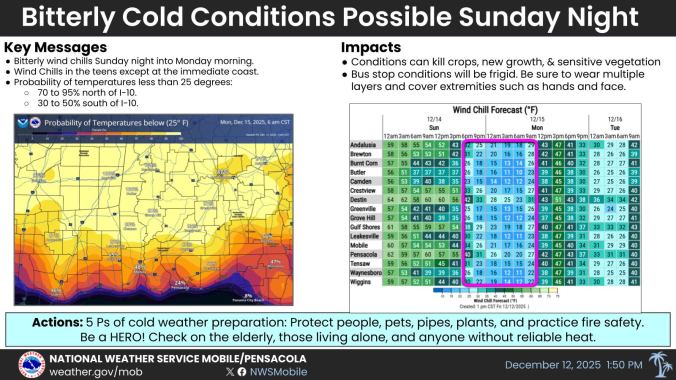 Bitterly cold Sunday, Monday | Holt Enterprise News