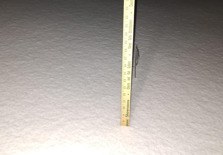 Looking back on snowstorm of 2025 | Holt Enterprise News