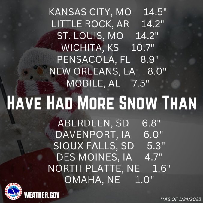 Looking back on snowstorm of 2025 | Holt Enterprise News