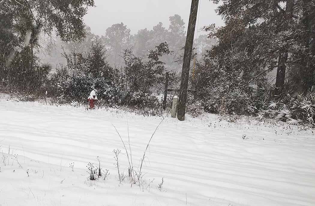 Looking back on snowstorm of 2025 | Holt Enterprise News